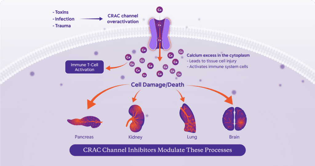 CalciMedica: Life-Threatening Inflammatory Disease Therapies