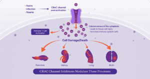 CalciMedica - The Leading CRAC Channel Platform Company