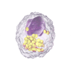 CalciMedica | CRAC Channel Inhibition for Inflammatory Diseases